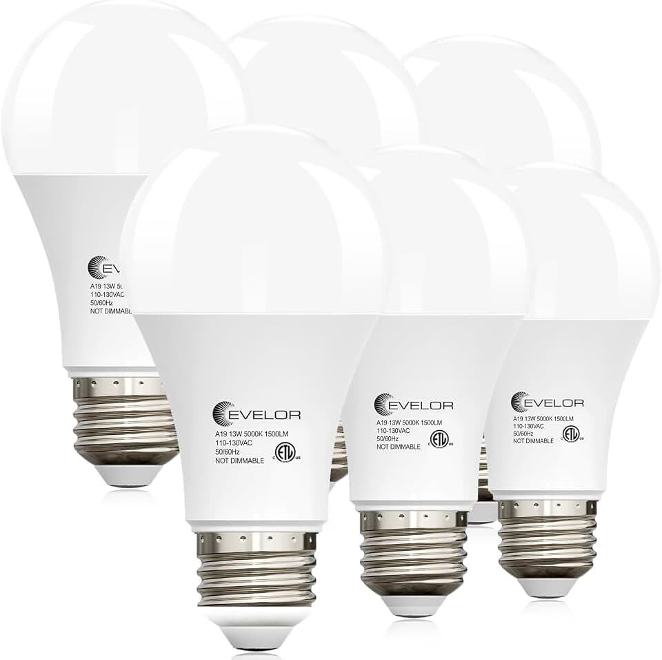 Amazon.ca: Ampoule