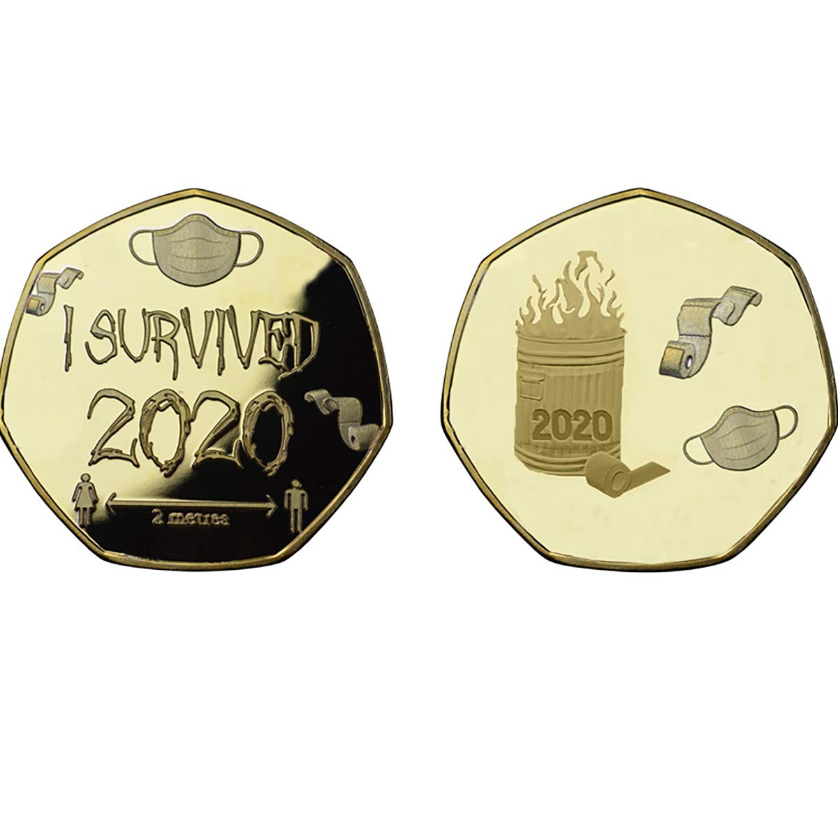 Buy DEES 2 Pcs 'I Survived 2020' Lucky Coin Survivor Commemorative ...