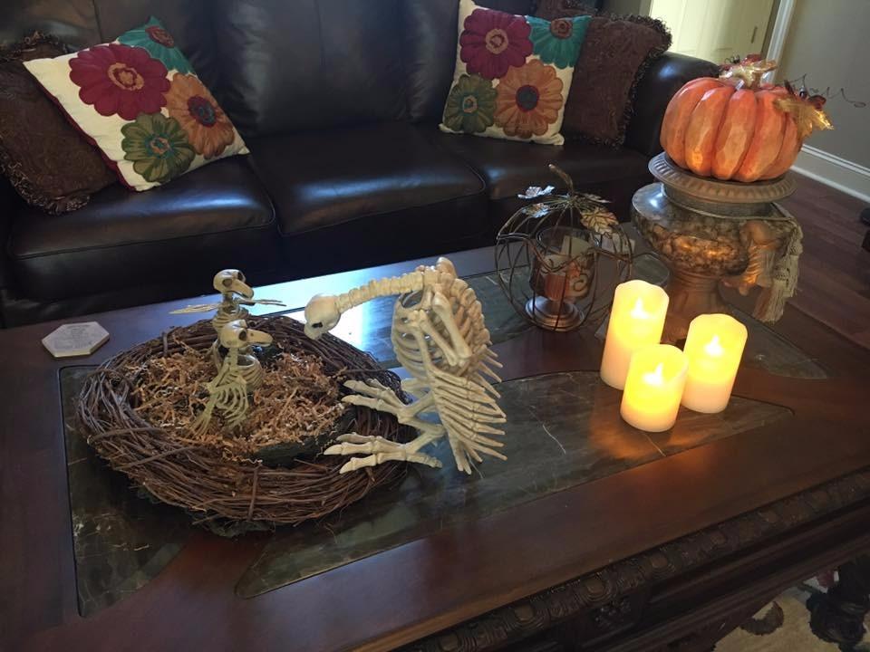 Amazon.com: Plastic Bird Skeleton- Set of 2 - Halloween Decoration ...