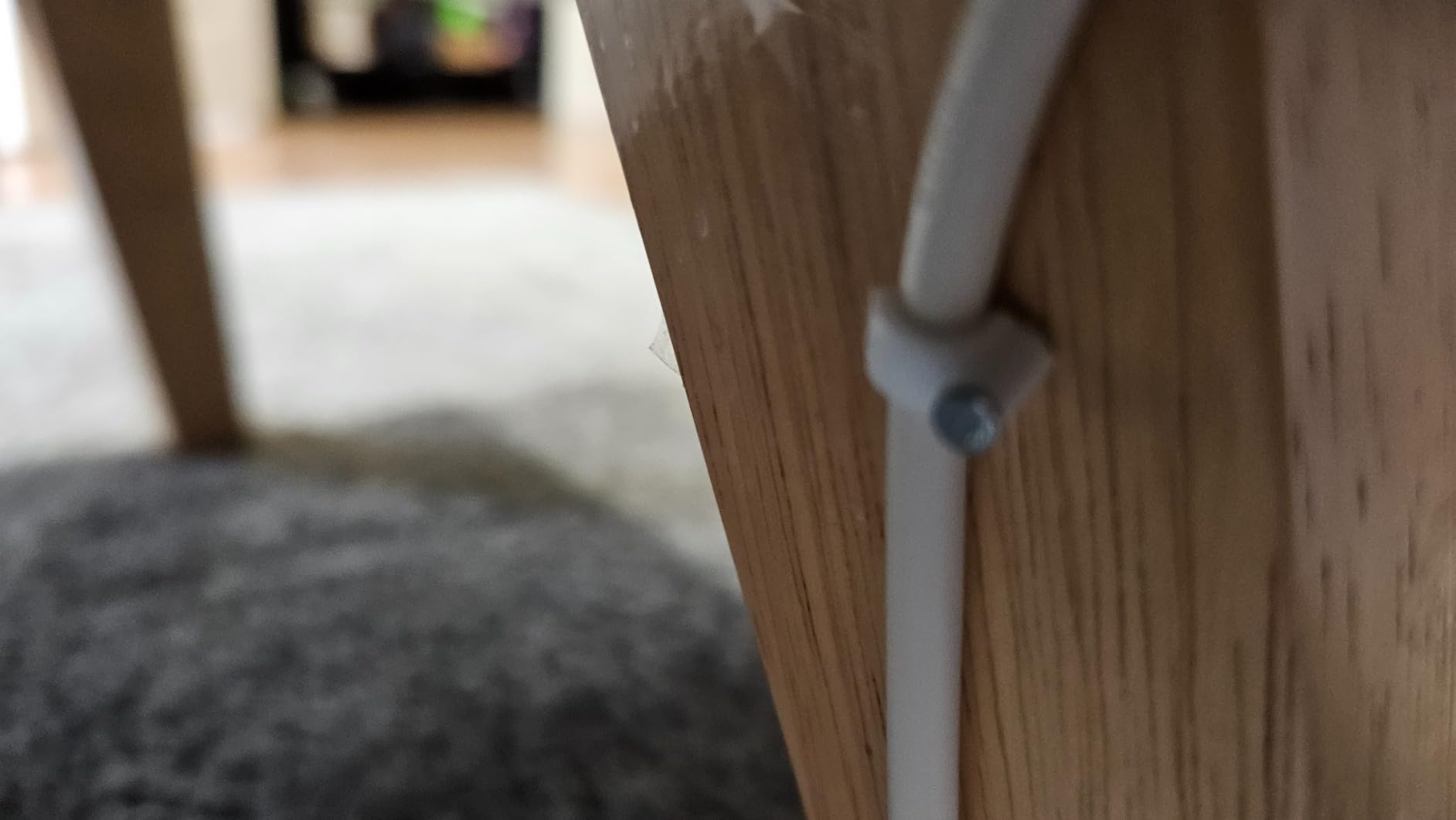 3mm Round Cable Clips 100pcs Assortment Cable Holder Management Wire ...