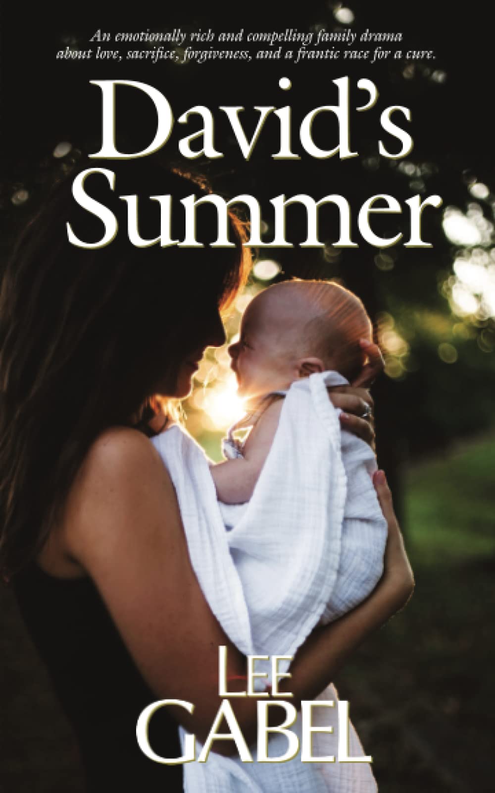 David's Summer: Gabel, Lee: 9780991849864: Amazon.com: Books