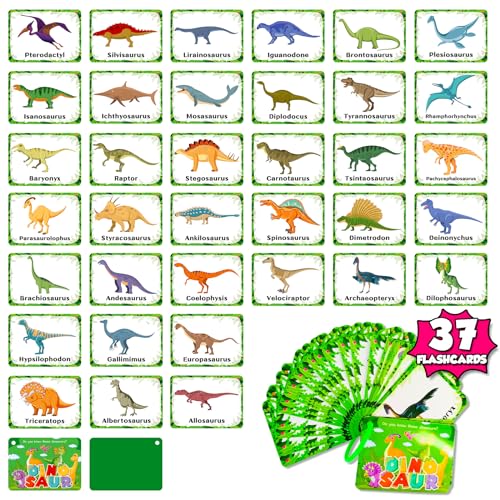 10 Best Dinosaurs Flash Cards - BabyStuffLab
