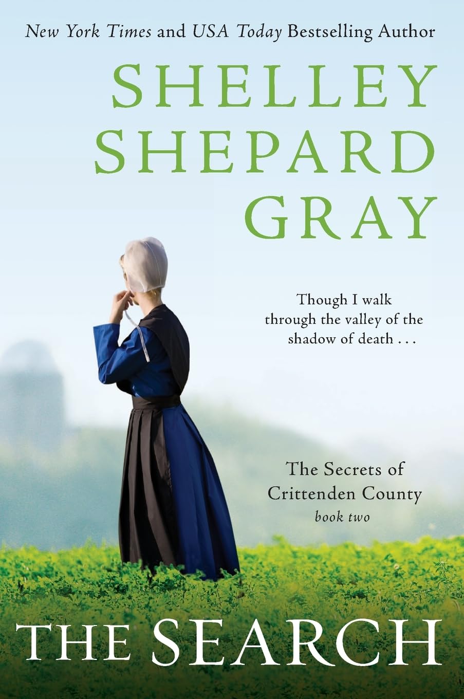 The Search: The Secrets of Crittenden County, Book Two (Secrets of ...