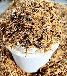 Amazon.com : Homemade Sundried Radish Sinki Naturally Fermented Super ...