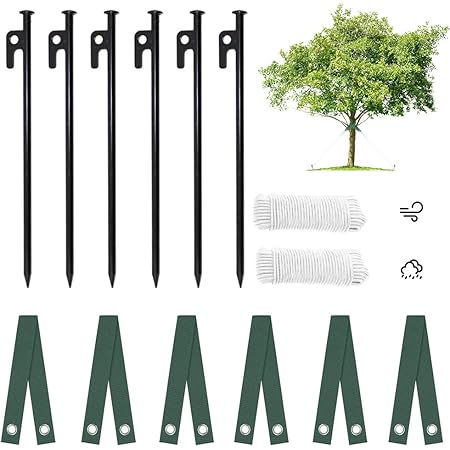 Amazon.com: Heavy Duty Steel Tree Stake Kits, Garden Support for Young ...