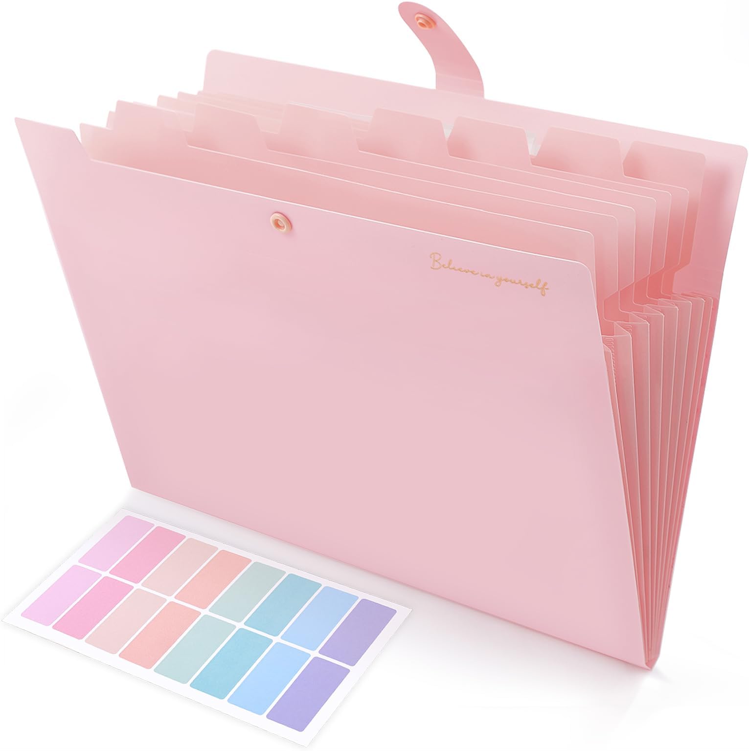 Amazon.com : Sooez Elegant Accordion File Organizer with Labels, 8 ...
