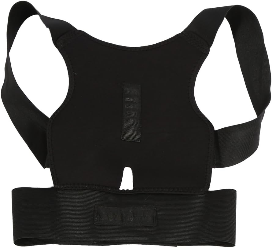Kireina Sports Posture Corrector Spinal Support, Lumber Back Brace for ...