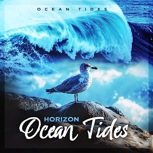 Amazon MusicでOcean TidesのHorizon Ocean Tidesを再生する