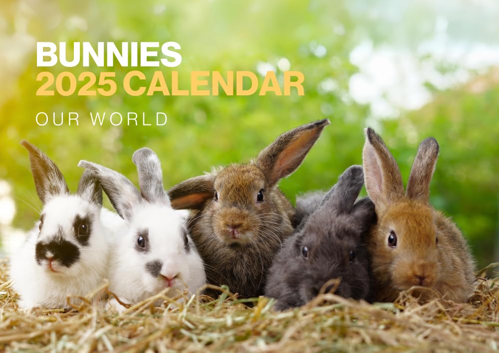 Our World Bunnies Rabbits Calendar 2025 UK – Large 12 Month 2025 ...