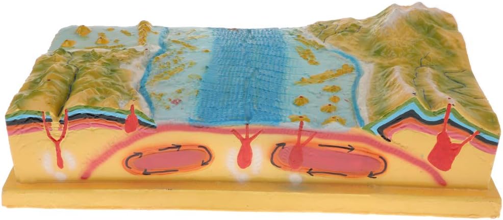 Amazon.com: Scientific Terrain Plate Tectonics Model Kit | Vivid Colors ...