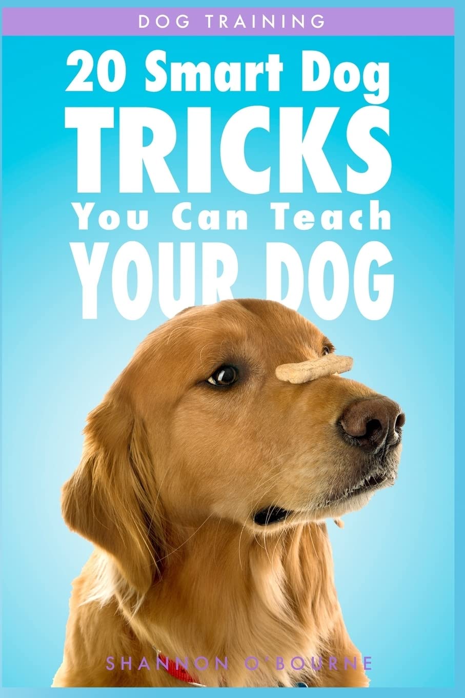 Dog Training: 20 Smart Dog Tricks You Can Teach Your Dog (Dog Training ...
