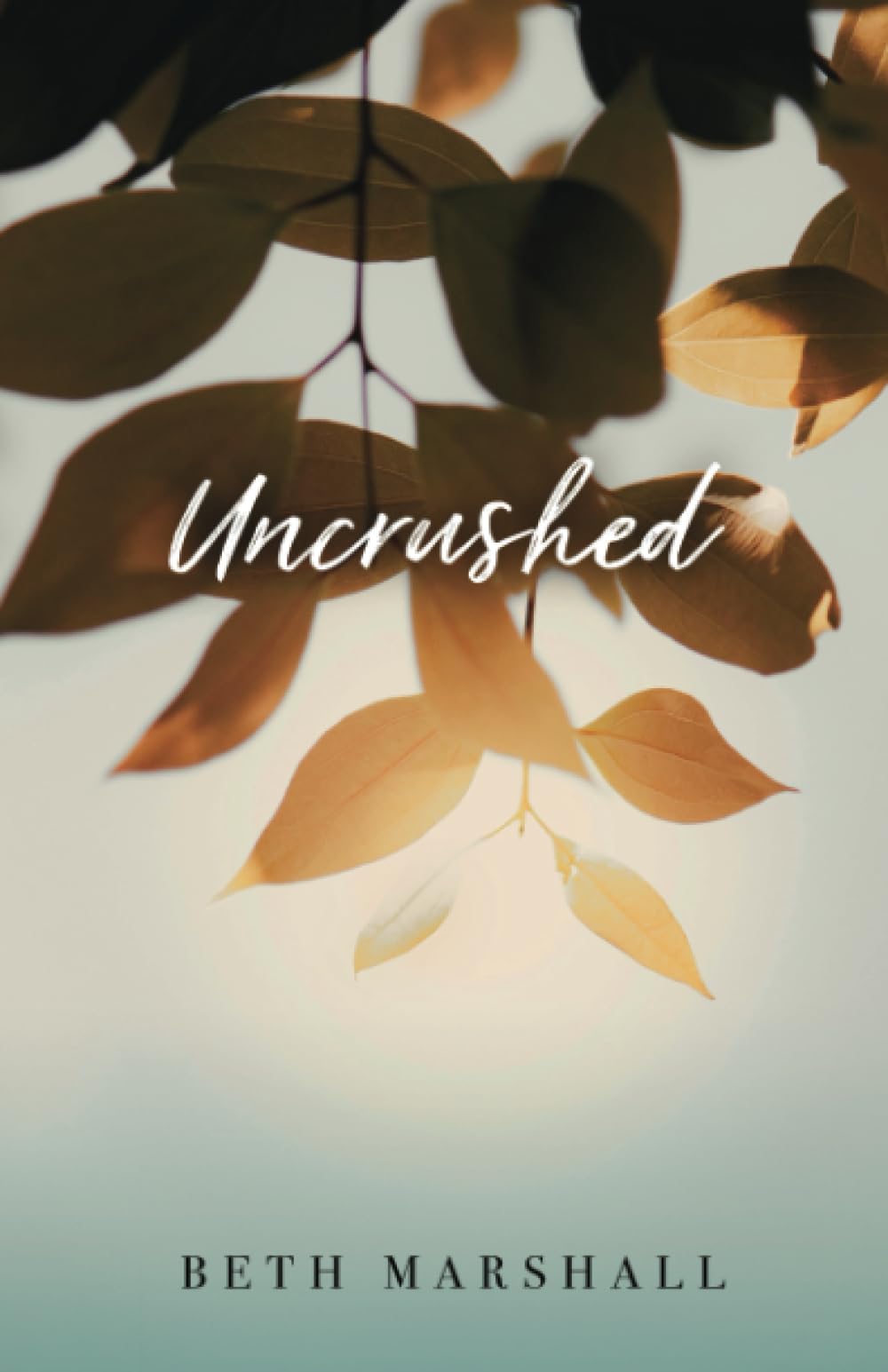 Uncrushed: Marshall, Beth: 9781637971086: Amazon.com: Books