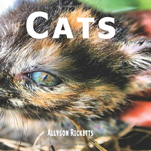 Cats: Beautiful Cats In Full Color: Ricketts, Allyson: 9781438204703 ...