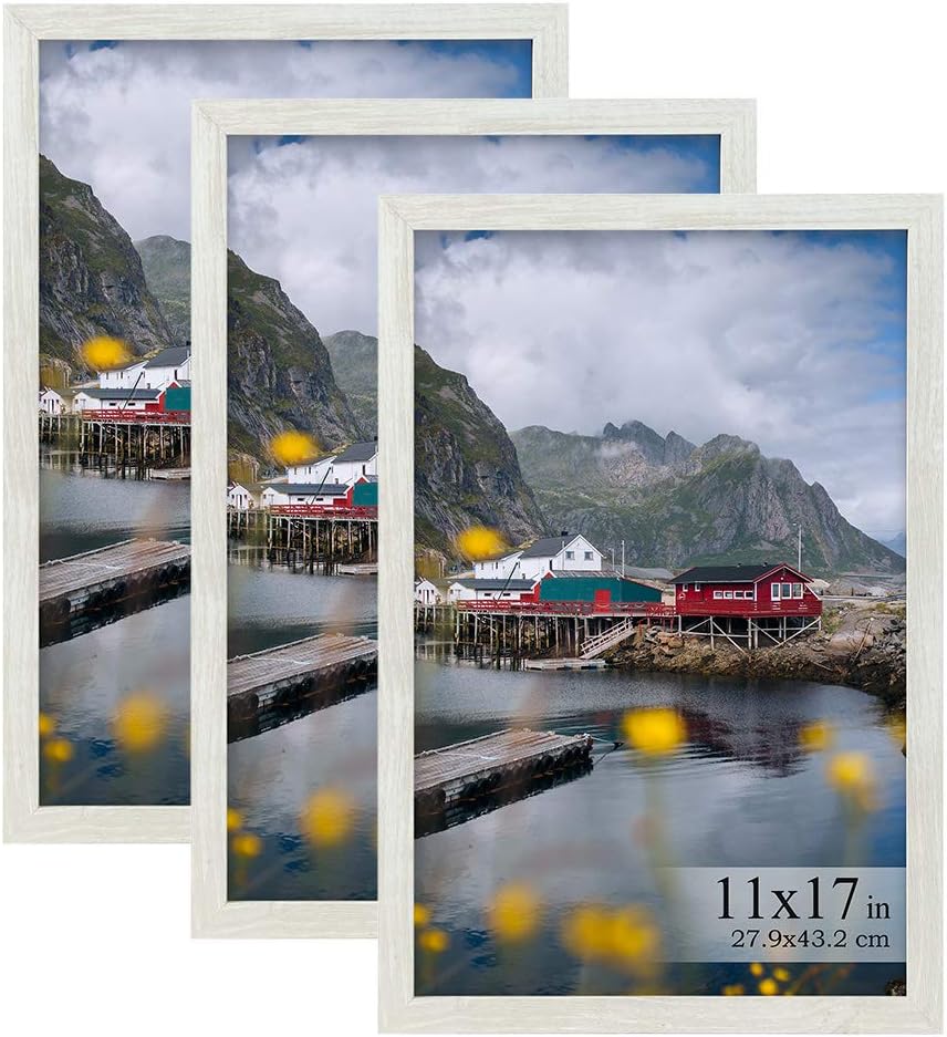 Amazon.com - DDaoty Picture Frames 11x17 Set of 2 Pack - White 11x17 ...