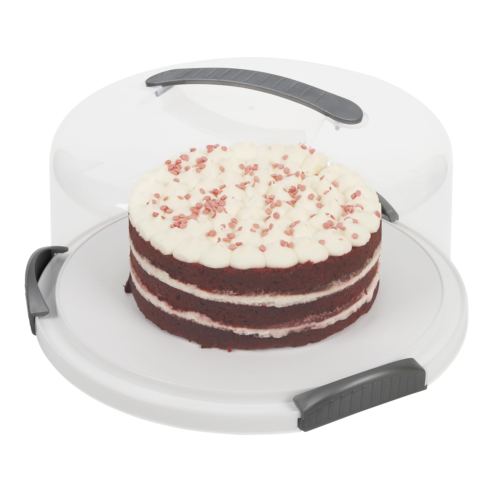 Amazon.com: EXTRA LARGE Cake Carrier/Storage Container With Server ...