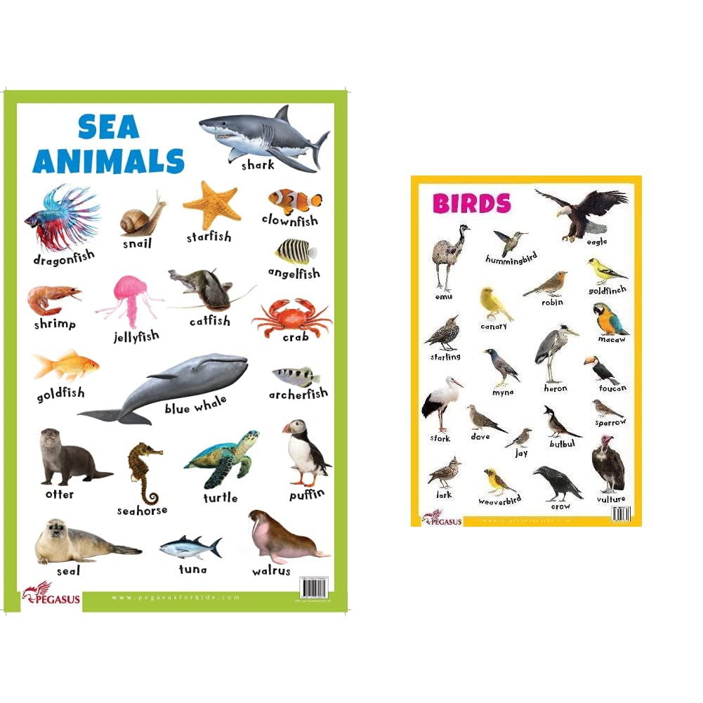 Buy Sea Animals - Thick Laminated Primary Chart+Birds - Thick Laminated ...