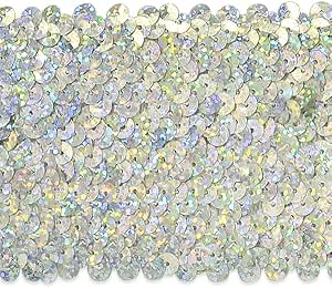 Amazon.com: Trims by the Yard 10 Yards of 8 Row Starlight Hologram ...