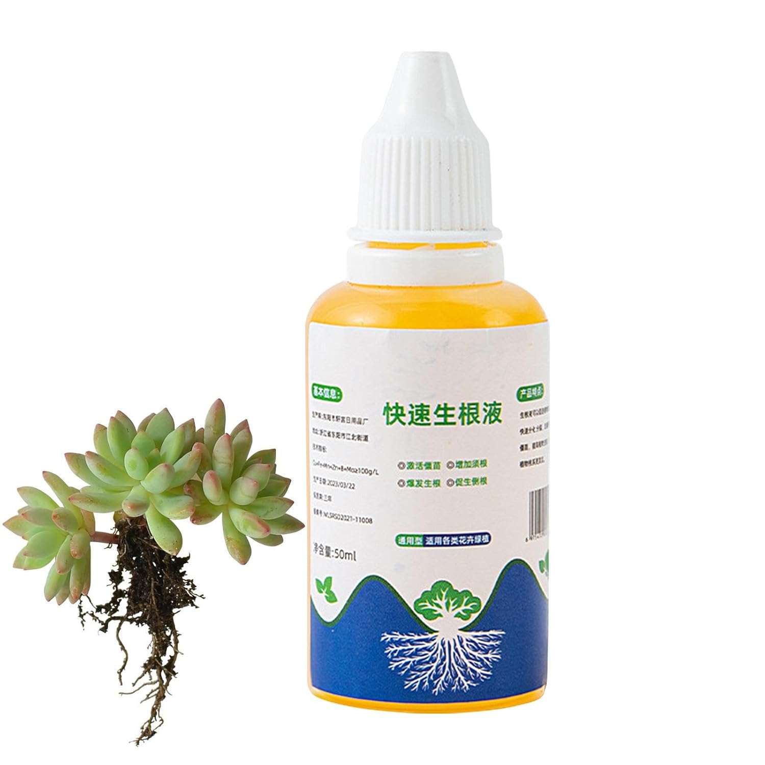 Plant Rooting Hormones - High-Performing 50ml Liquid Root Growth ...