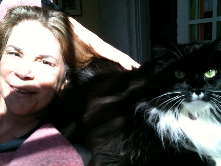 Amazon.com: Laura Marello: books, biography, latest update