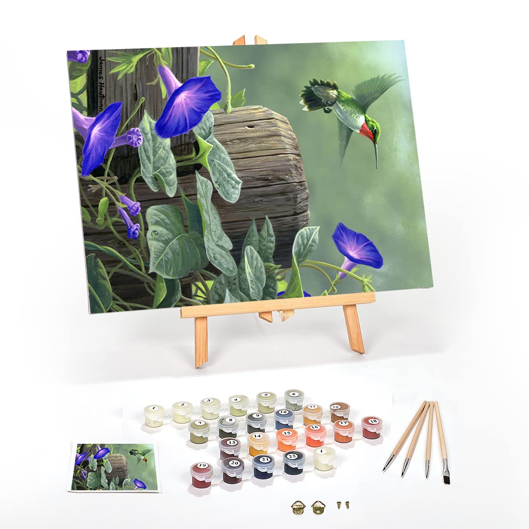 Amazon.com: Ledgebay DIY Paint by Numbers Kit for Adults Framed Canvas ...
