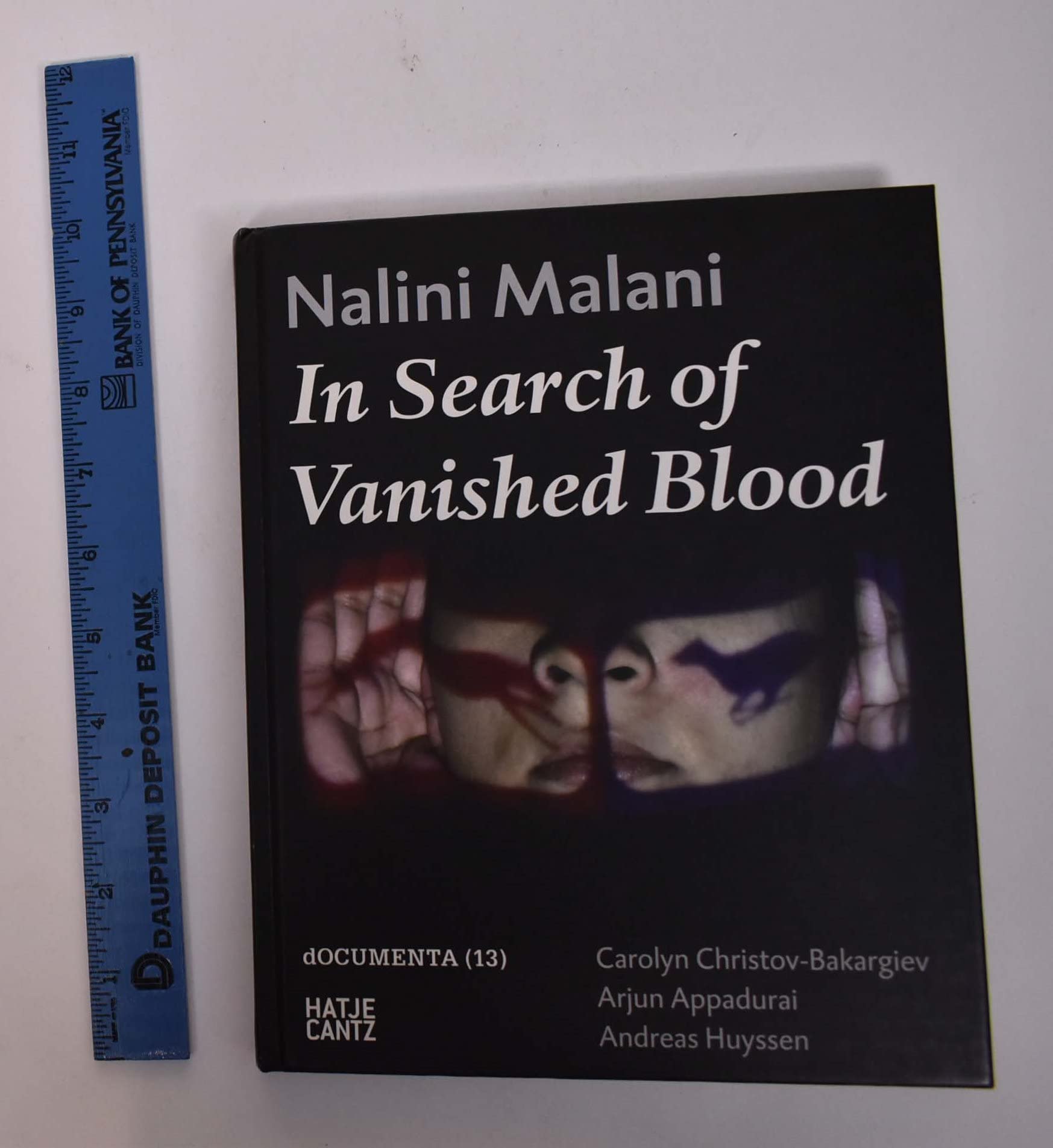 Nalini Malani: In Search of Vanished Blood: Malani, Nalini, Christov ...