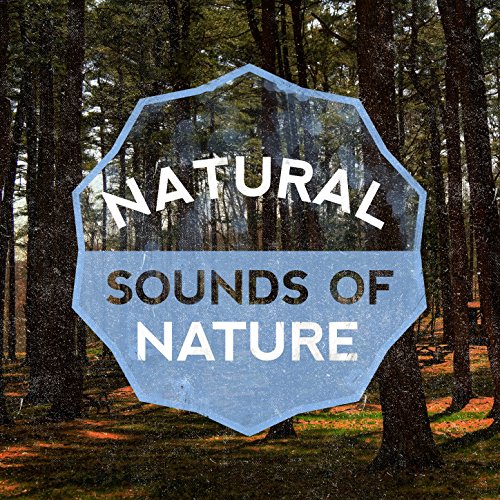 Amazon.com: Natural Sounds of Nature : Nature Sound Collection: Digital ...