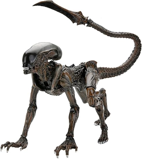 Amazon.com: NECA Aliens Fireteam Runner XN51714 Action Figure : Toys ...
