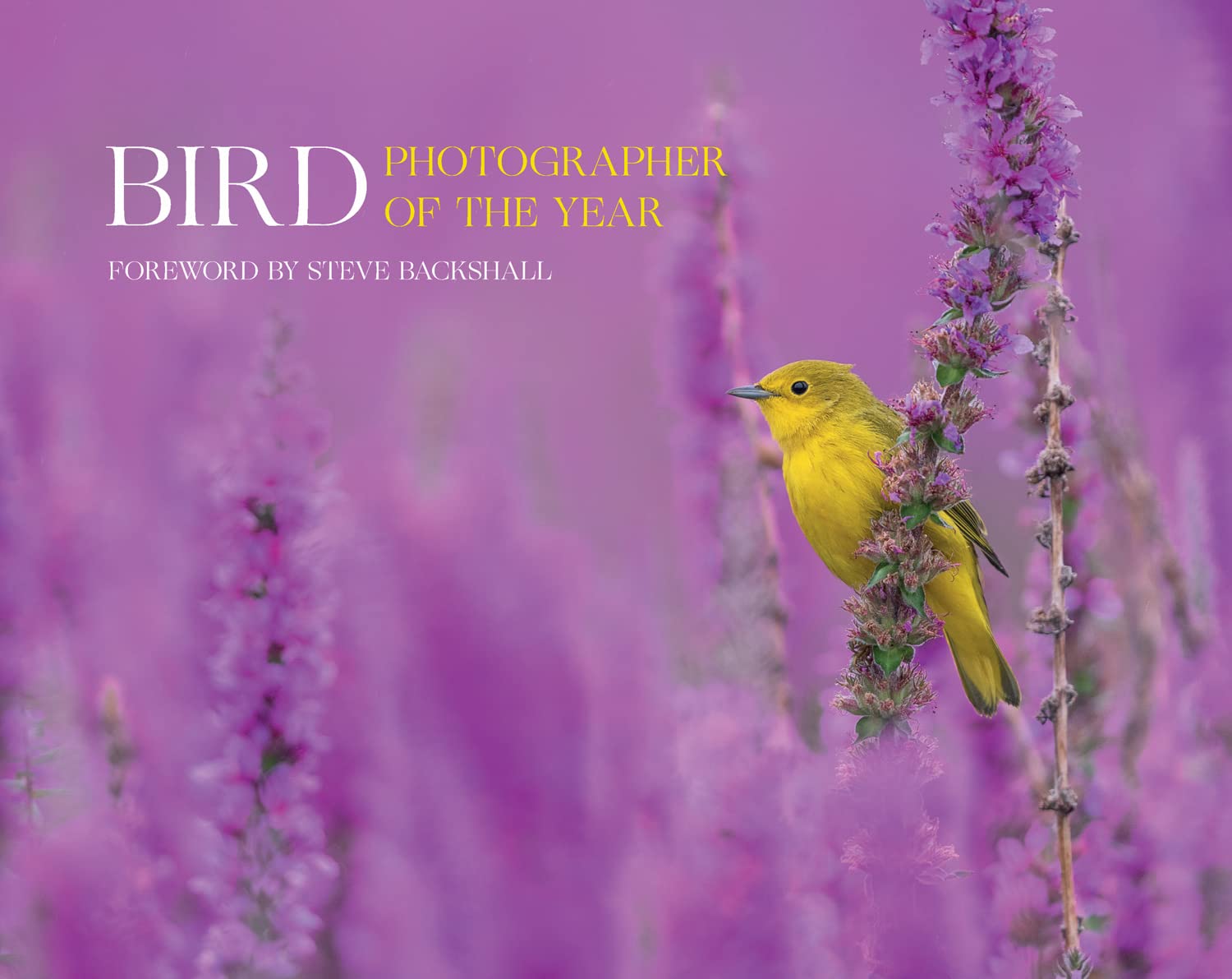 Amazon | Bird Photographer of the Year (Bird Photographer of the Year ...