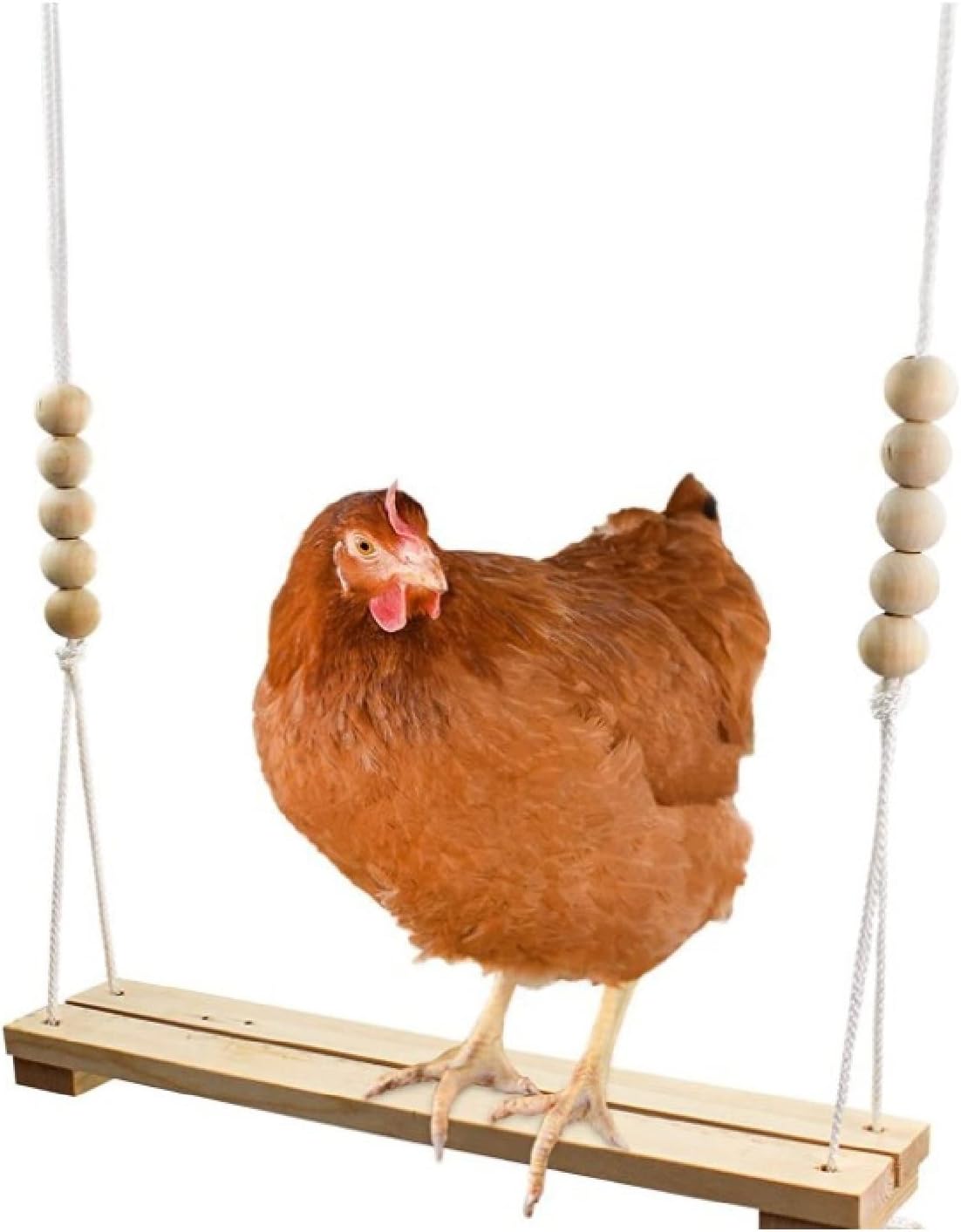 AOVNA Chicken Swing Wooden Hanging Swing Durable Chicken Swing Perch ...