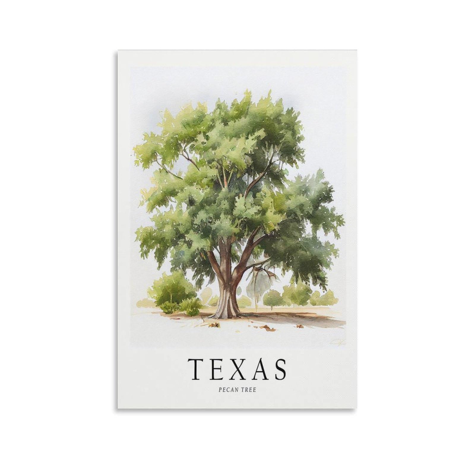Texas State Tree