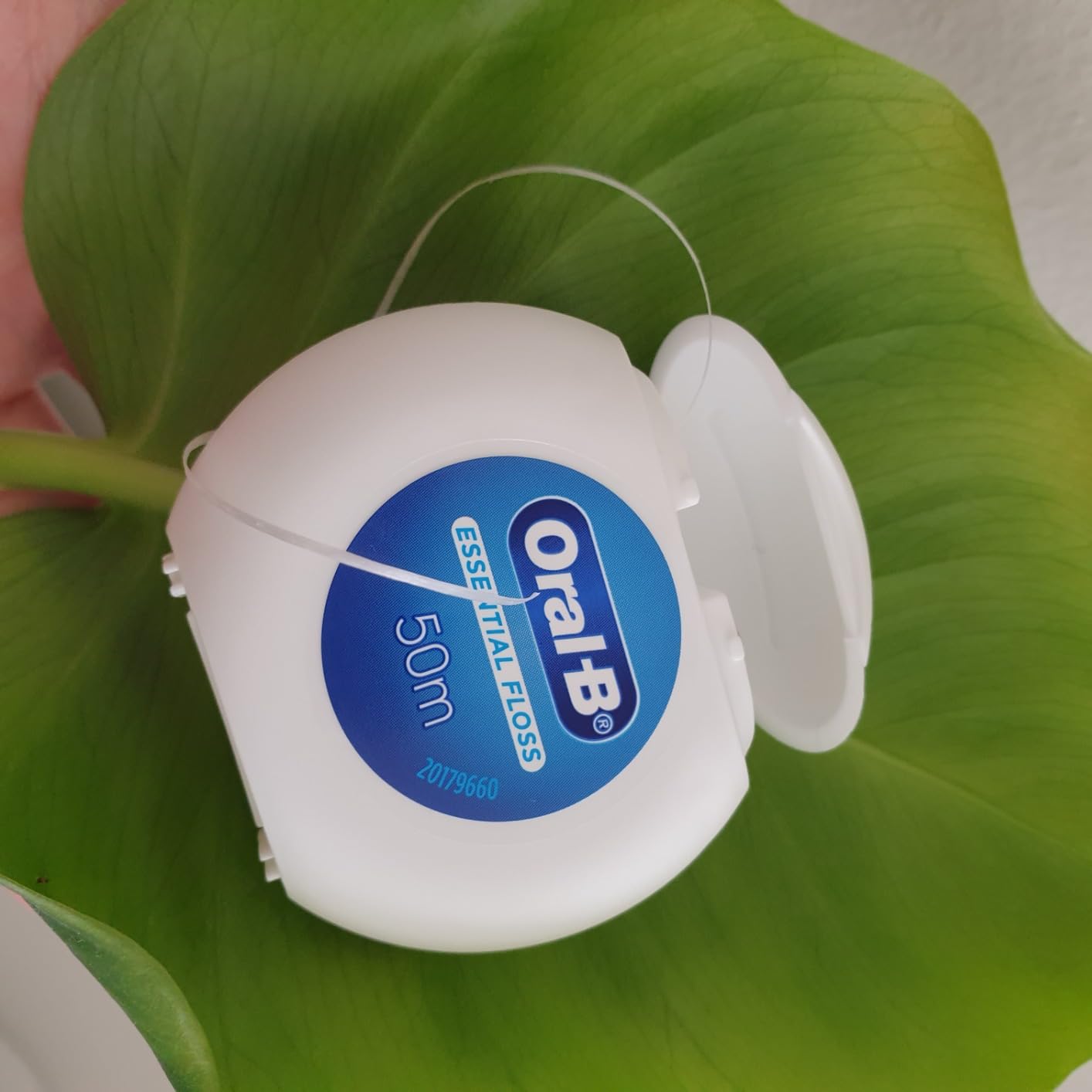 Oral-B Essential Waxed Dental Floss Mint Flavour 50m : Amazon.com.au ...