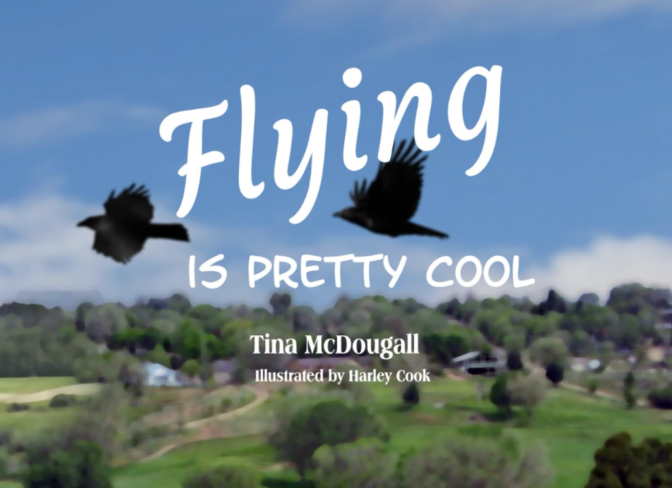 Flying is Pretty Cool: McDougall, Tina, Cook, Harley: 9798327697850 ...