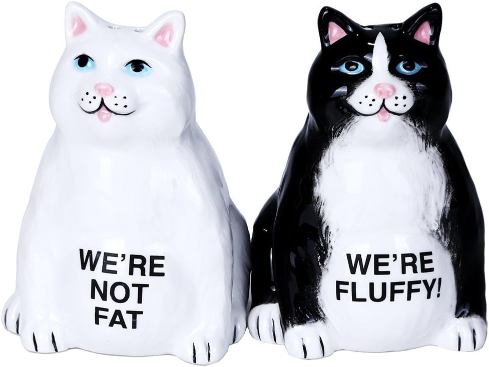 Amazon.com: Pacific Giftware Fluffy Fat Cats Ceramic Magnetic Salt and ...