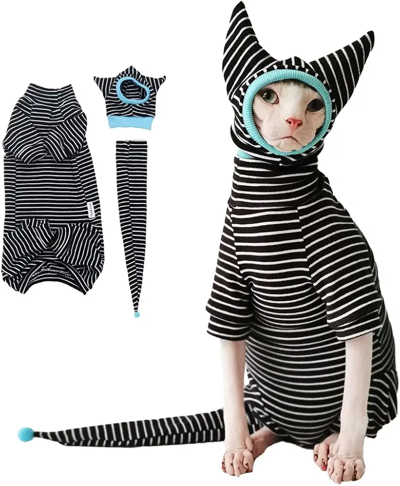 Invisible Stripes: Understanding How Cats See Human Patterns | PetShun