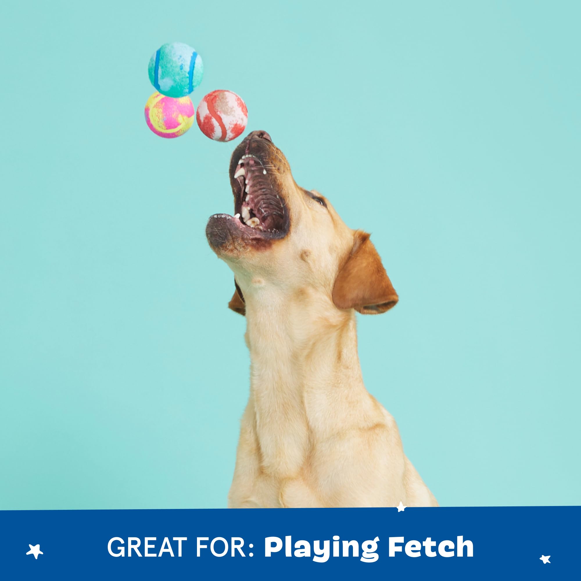 Snapklik.com : Barkbox Dog Toys Squeaky Clean Bath Bombs Squeaker Ball ...