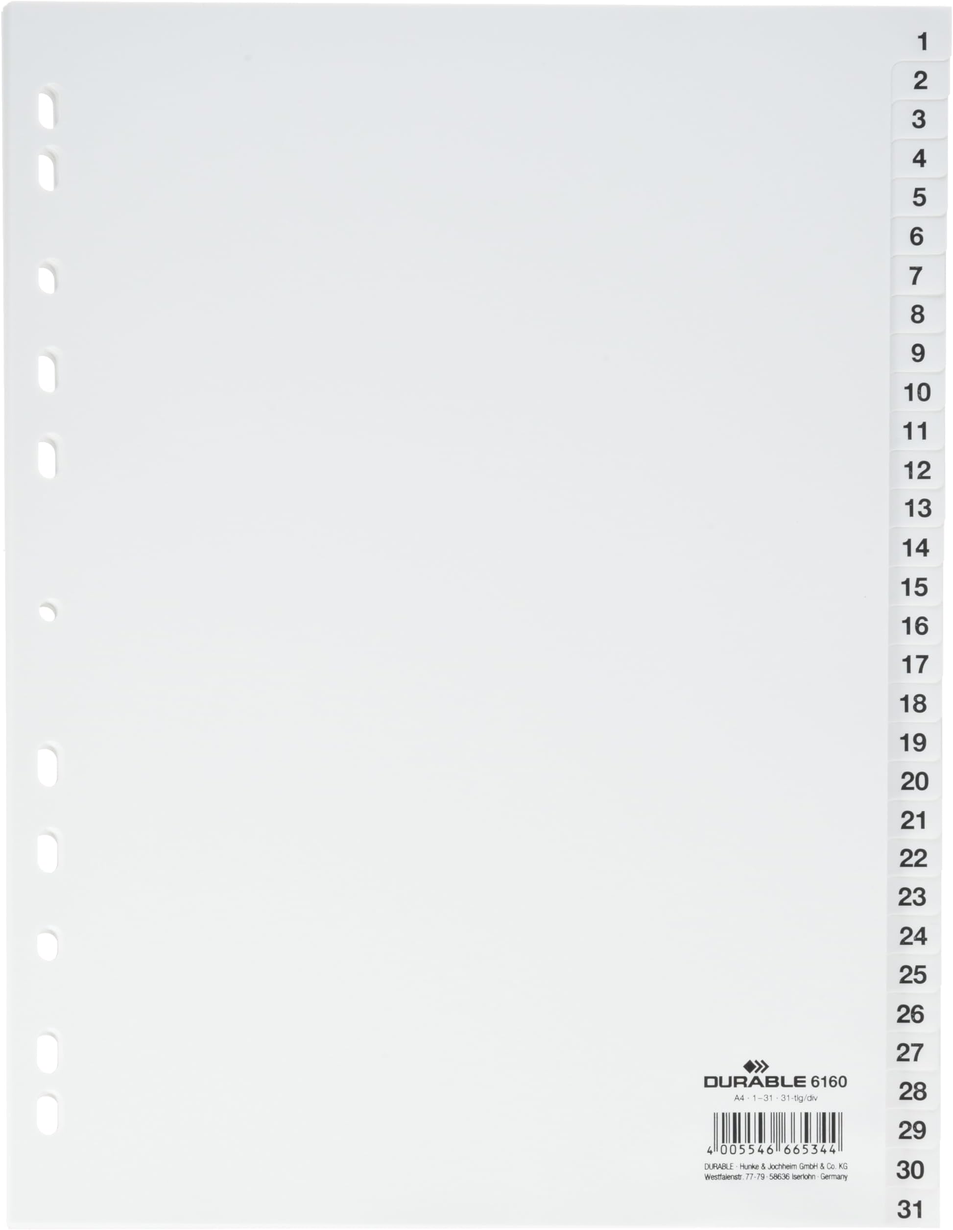 Durable Index Files Labled 1-31 - Pre Printed Tabs with Universal ...
