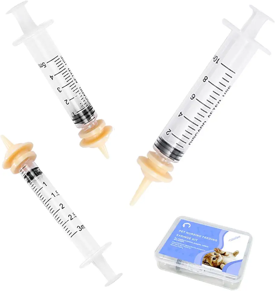 How Do Baby Rabbits Nurse? A Guide To Rabbit Nursing Behavior | PetShun