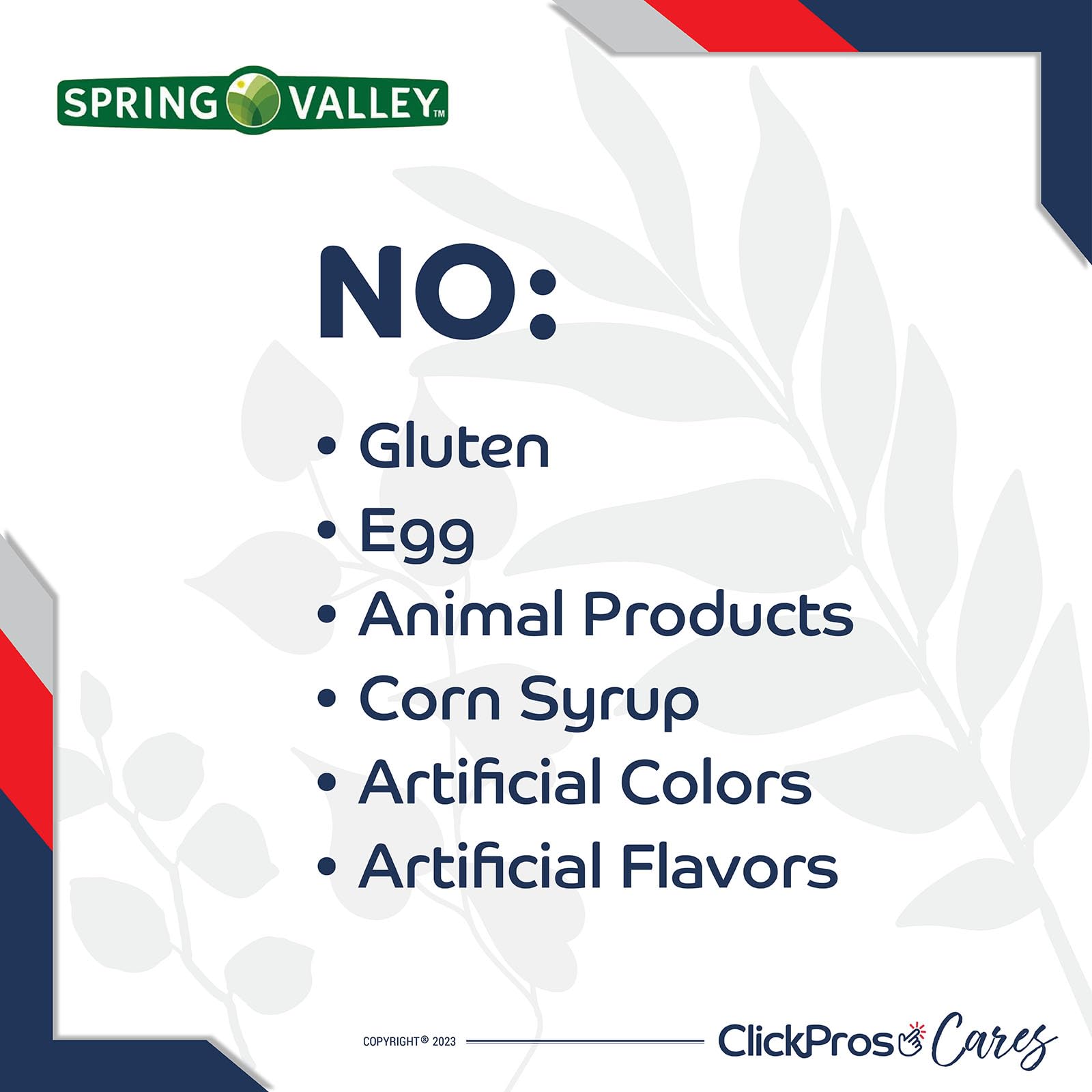 Snapklik.com : Spring Valley Beetroot Gummies 500mg 60 Count Bundle ...