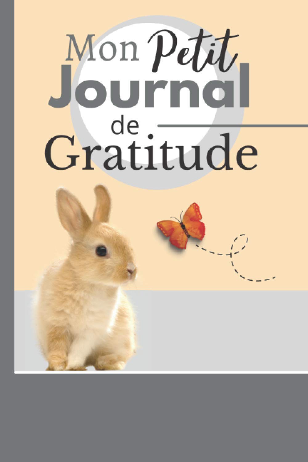 Mon Petit Journal De Gratitude Carnet A Remplir Pour Apprendre ...