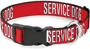 Amazon.com : Buckle-Down Pet Collar, Dog Collar Plastic Buckle, Service Dog Text Red Black White ...