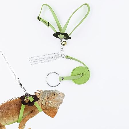 Amazon.com : POLKASTORE Bearded Dragon Harness and Leash Adjustable(S,M ...