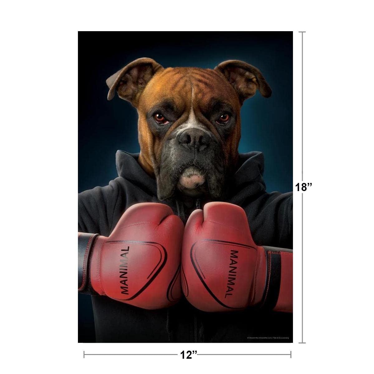 Wallpapers For Desktop Funny Boxer