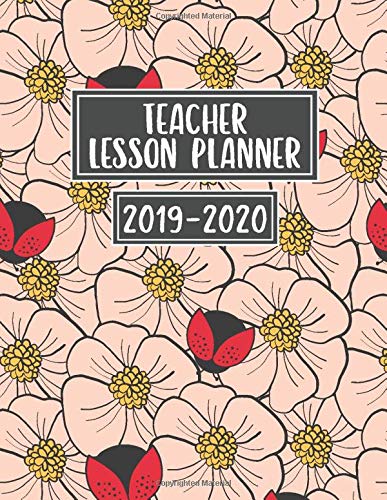 Teacher Lesson Planner 2019-2020: Cute Ladybug Lesson Plan Book ...
