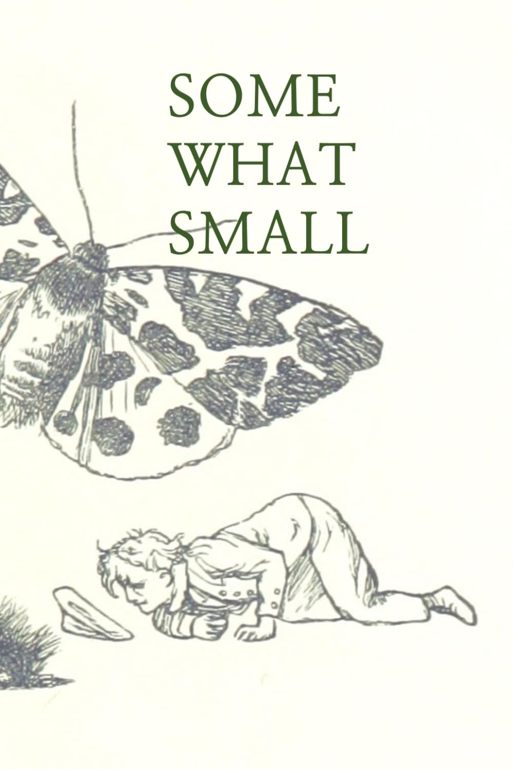 Somewhat Small: Cimenski, Trev: 9798395028181: Amazon.com: Books