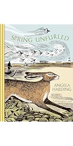 Summer's Hum: part of a beautiful new series from beloved illustrator ...