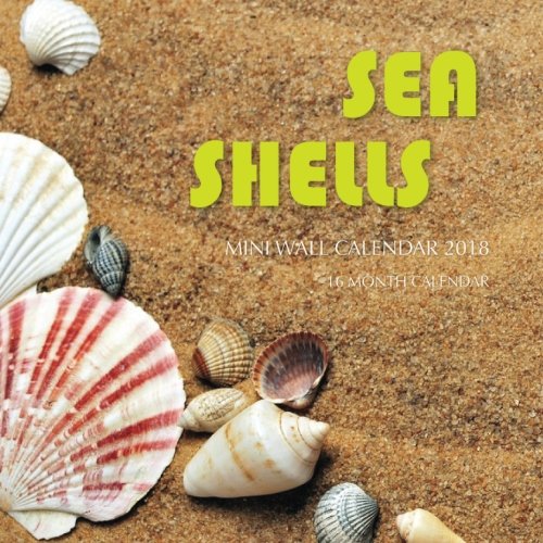 Sea Shells Mini Wall Calendar 2018: 16 Month Calendar: Jenson, Paul ...