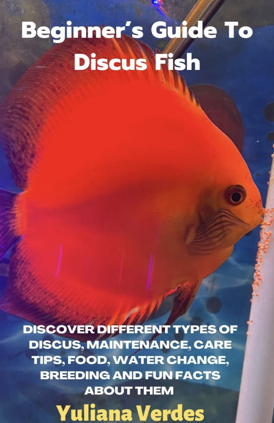 Buy Beginner’s Guide To Discus Fish: Discover Different Types of Discus ...