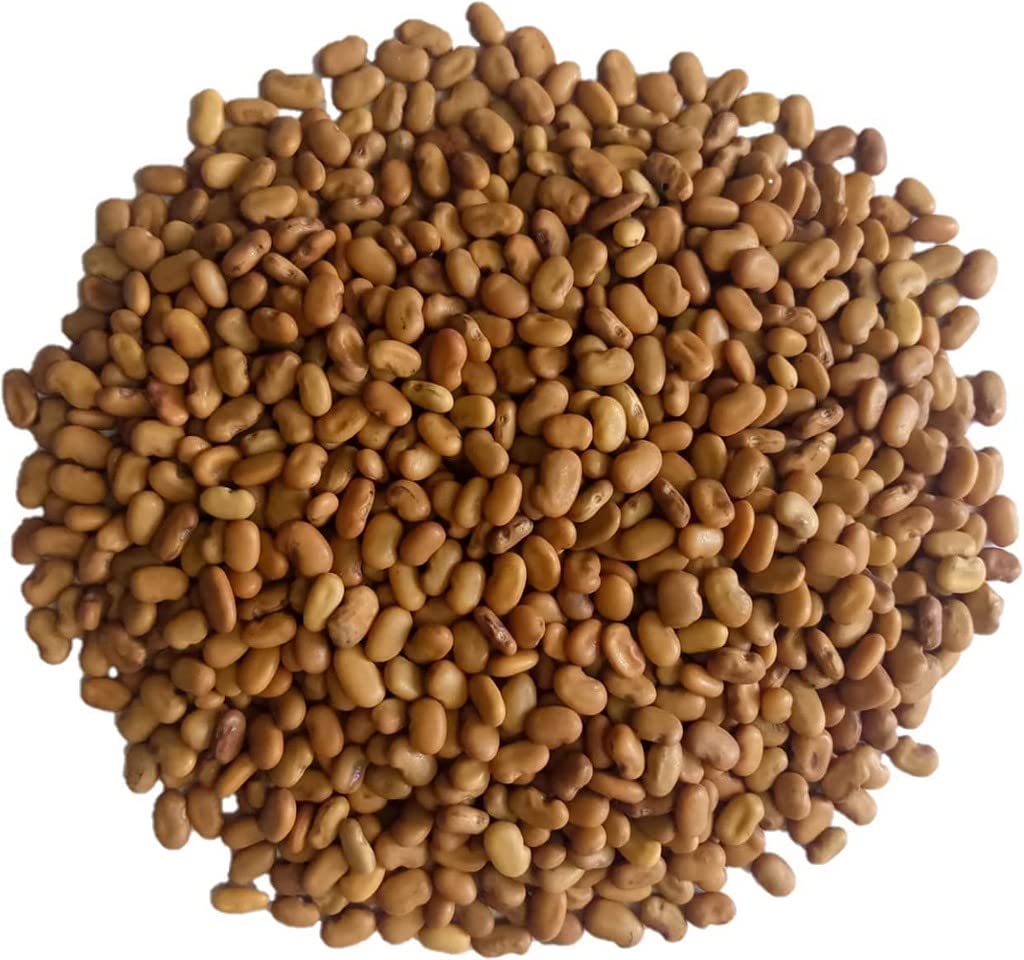 Ohhsome Agathi Cheera Sesbania Grandiflora 100 Seeds Sesbania ...