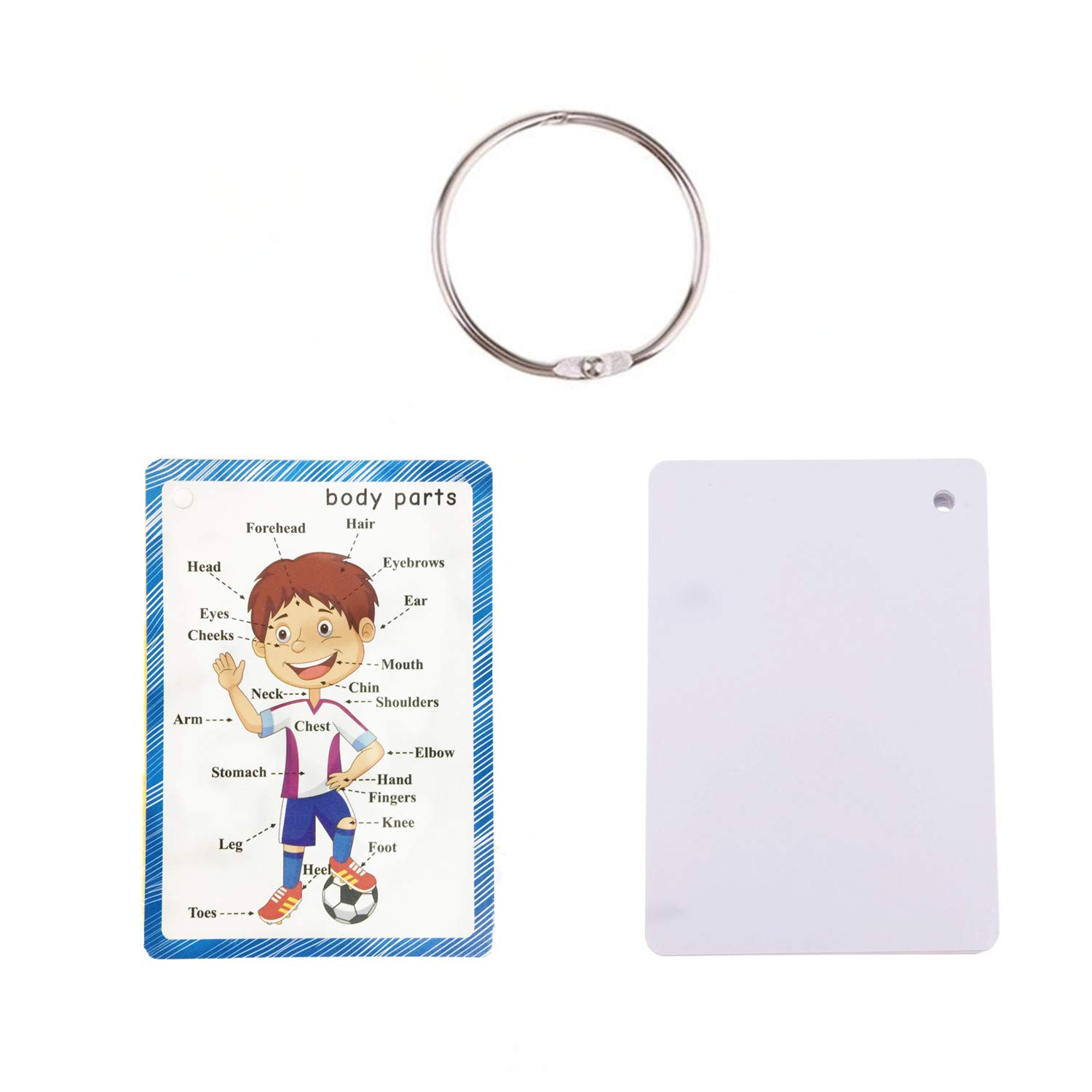 Early Learning Materials 24 Body Parts Flash Cards For Kids - Laminated ...