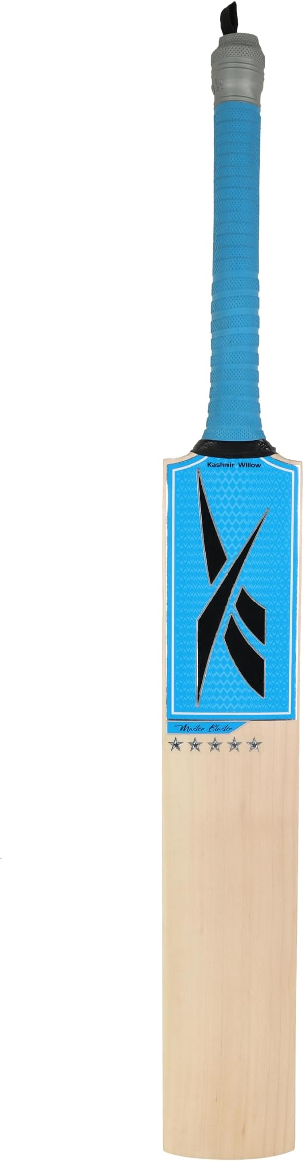 Reebok Master Blaster Kashmir Willow Cricket Bat (Short Handle, Light ...